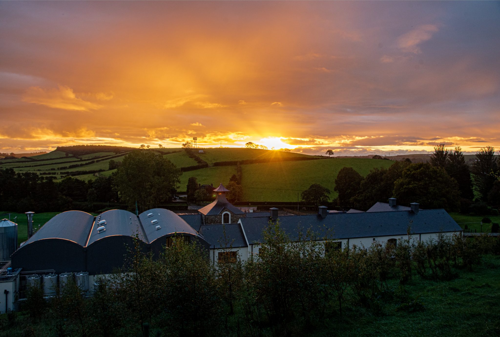 Hinch Distillery - Stories & Sips Whiskey Club